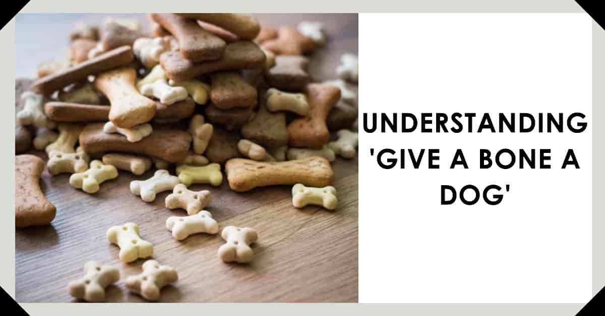 How is 'Give a Bone a Dog' Understood? Exploring Canine Behavior and ...